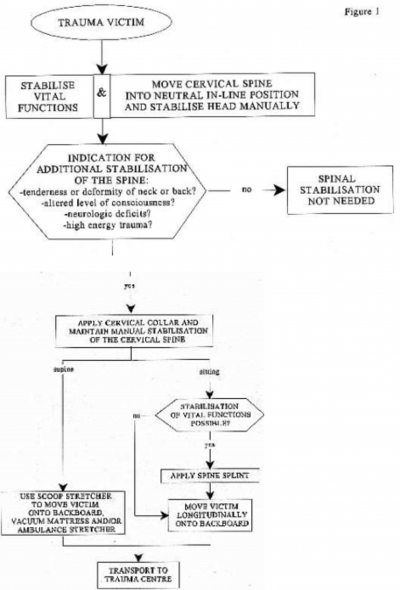 Internet Scientific Publications